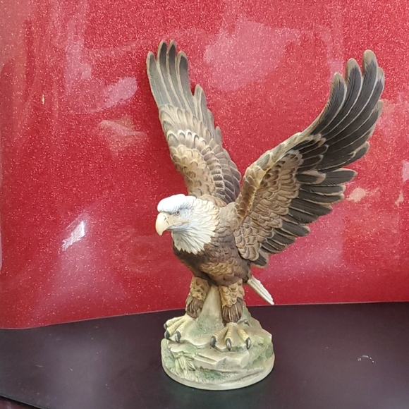ANDREA FENZI | Other | Bald Eagle By Andrea | Poshmark